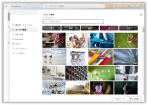 SharePoint Online 新機能 Stock images | Livestyleクラウドサービス
